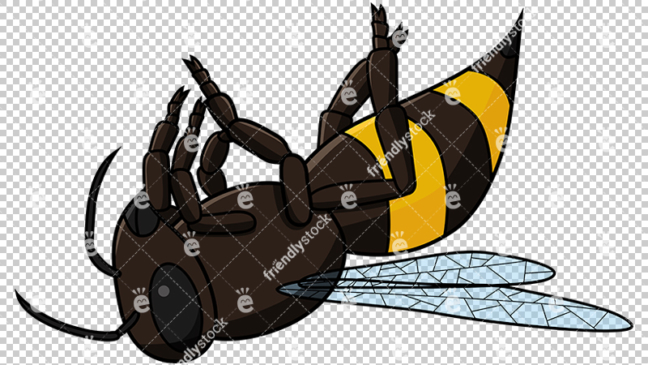 Dead Bee Vector Cartoon Clipart - FriendlyStock