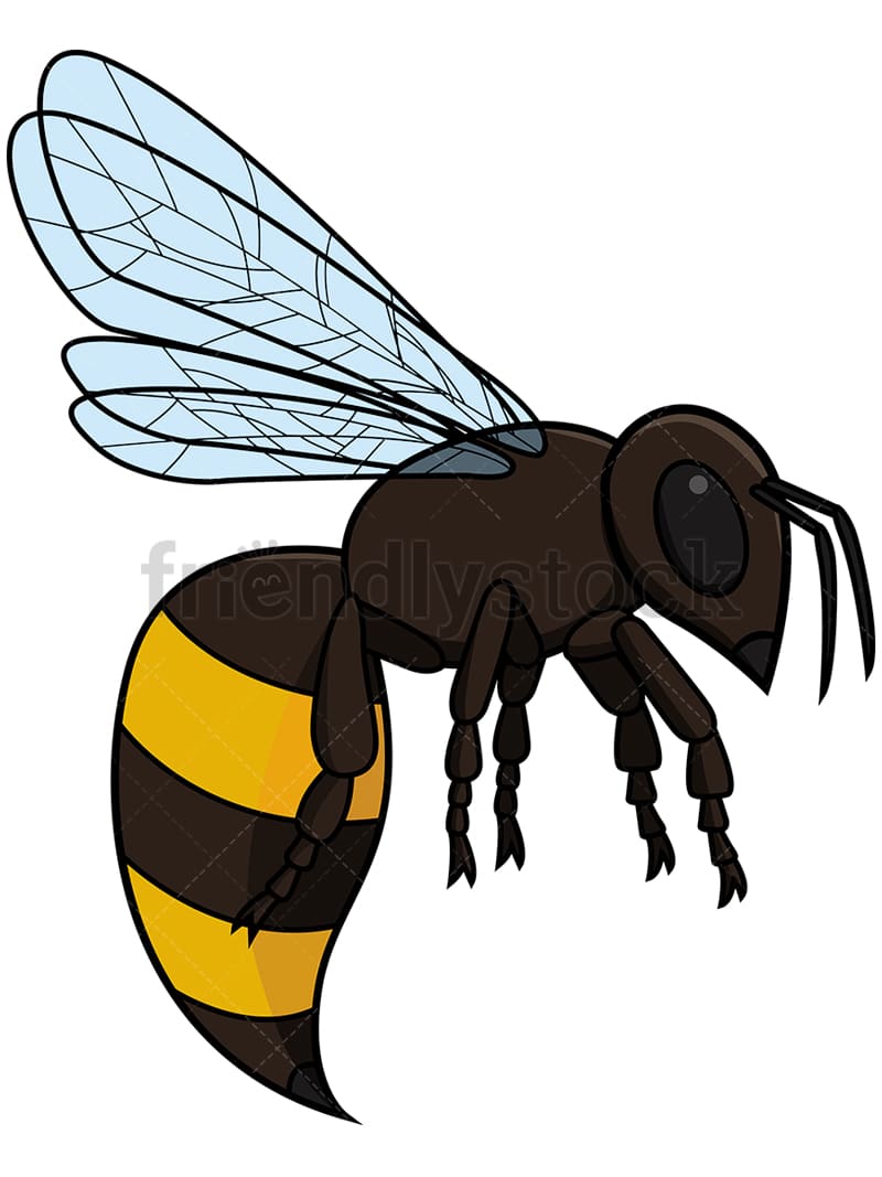 Bee Flying Side View Vector Cartoon Clipart - FriendlyStock