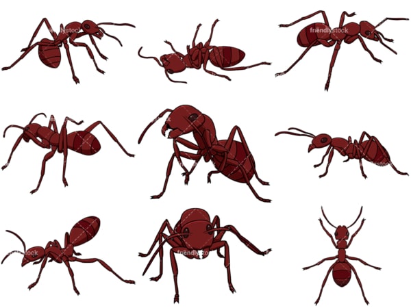 Red Ant Cartoon Vector Clipart - FriendlyStock