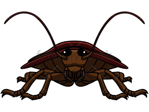 Front View Cockroach Cartoon Vector Clipart - FriendlyStock