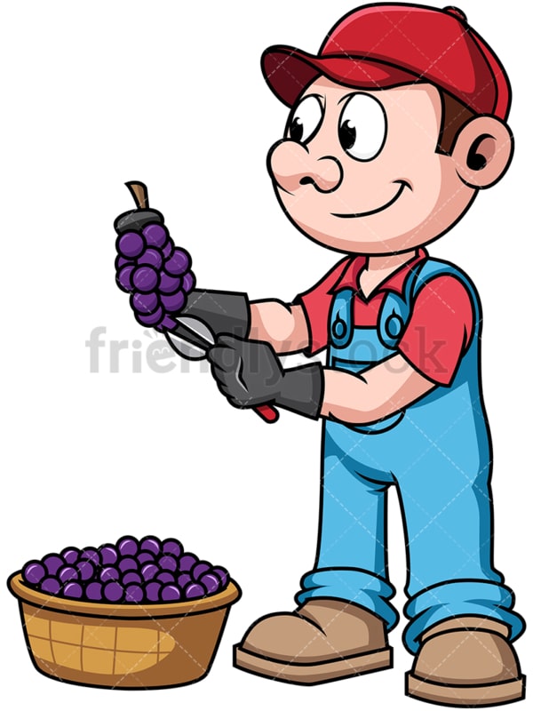 Farmer Harvesting Grapes Cartoon Vector Clipart - FriendlyStock