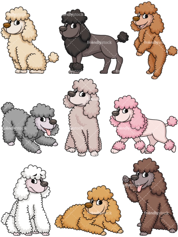 Miniature Poodles Cartoon Vector Clipart - FriendlyStock