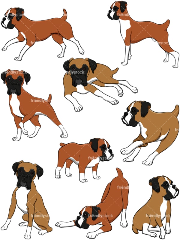 Alerted Boxer Dog Cartoon Vector Clipart - FriendlyStock