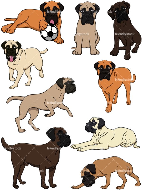 Attentive Bullmastiff Dog Cartoon Vector Clipart - FriendlyStock