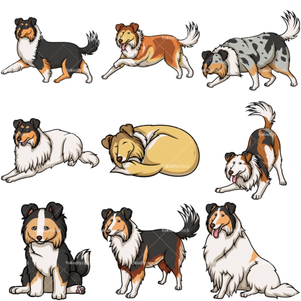 Playful Tri-Sable Merle Collie Cartoon Clipart Vector - FriendlyStock