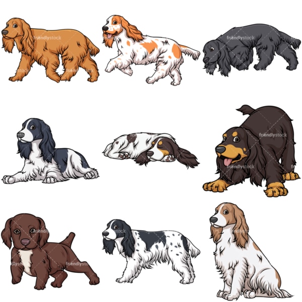 English Cocker Spaniel Walking Cartoon Clipart Vector - FriendlyStock