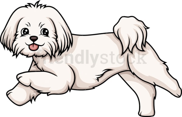 Cheerful Maltese Cartoon Clipart Vector - FriendlyStock