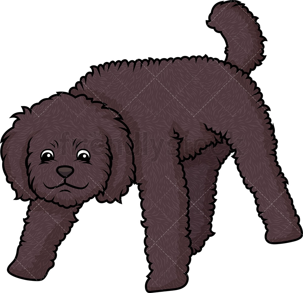 Labradoodle Running Cartoon Clipart Vector - FriendlyStock