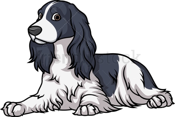 Blue Roan English Cocker Spaniel Cartoon Clipart Vector - FriendlyStock