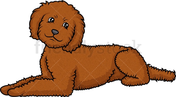 Labradoodle Lying Down Cartoon Clipart Vector - FriendlyStock