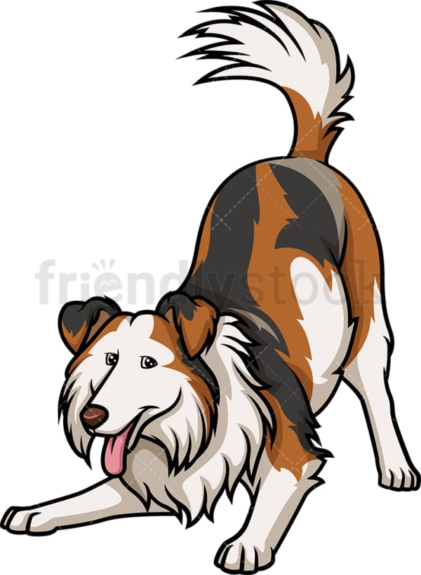 Playful Tri-Sable Merle Collie Cartoon Clipart Vector - FriendlyStock
