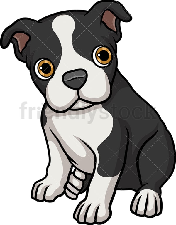 Cute Boston Terrier Puppy Cartoon Clipart Vector - FriendlyStock