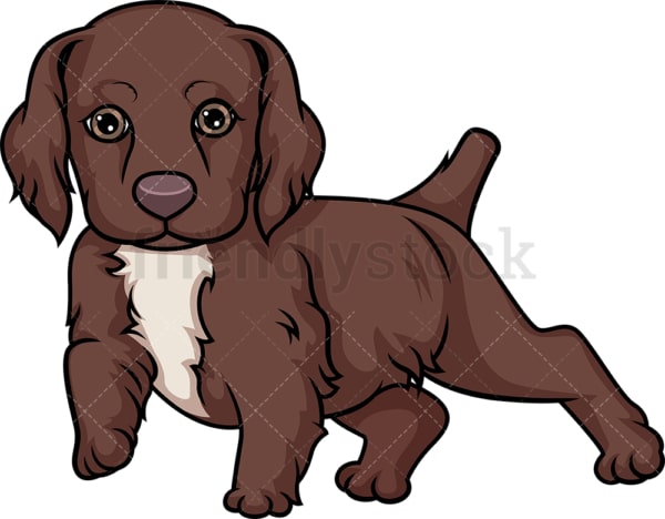 Cute English Cocker Spaniel Puppy Cartoon Clipart Vector - FriendlyStock