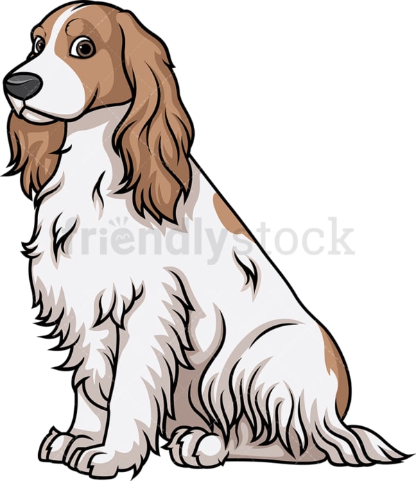 Obedient English Cocker Spaniel Sitting Cartoon Clipart Vector ...