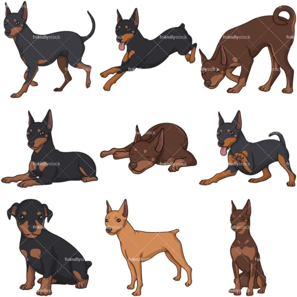 Cute Mini Pinscher Puppy Cartoon Clipart Vector - FriendlyStock