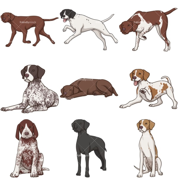 Cartoon Pointer Dogs Clipart Vector Collection - FriendlyStock