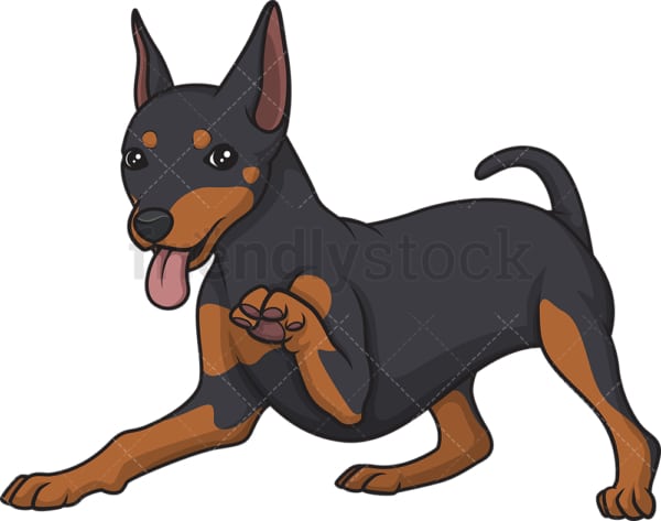 Playful Mini Pinscher Cartoon Clipart Vector - FriendlyStock