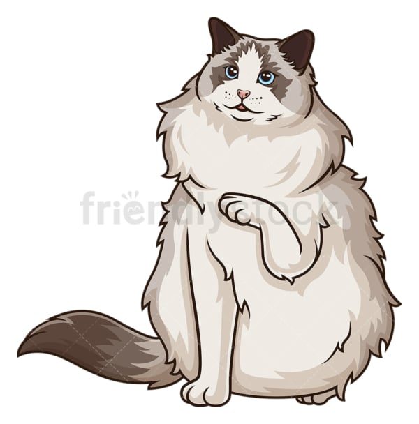 Ragdoll Cats Clipart Vector Collection - FriendlyStock
