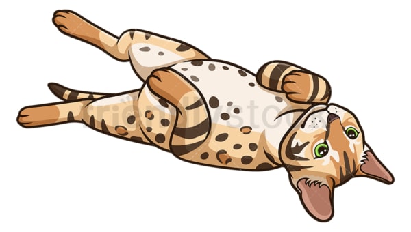Bengal Cat Lying On Its Back Cartoon Clipart Vector - FriendlyStock