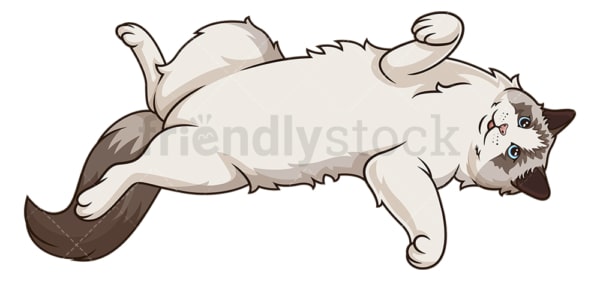 Ragdoll Cats Clipart Vector Collection - FriendlyStock