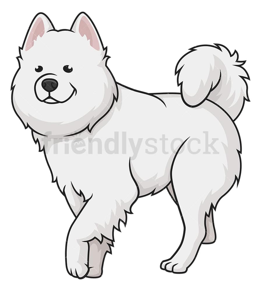 Samoyed Walking Cartoon Clipart Vector - FriendlyStock
