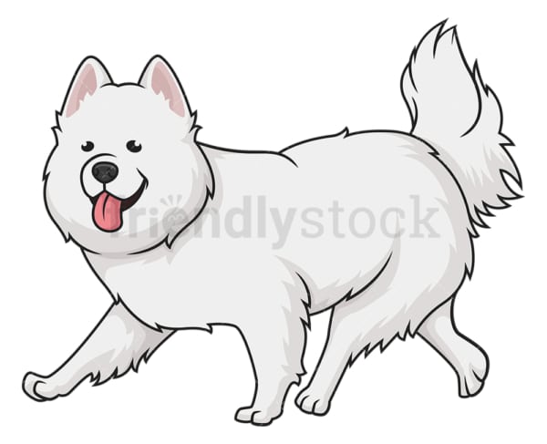 Samoyed Dog Running Cartoon Clipart Vector - FriendlyStock