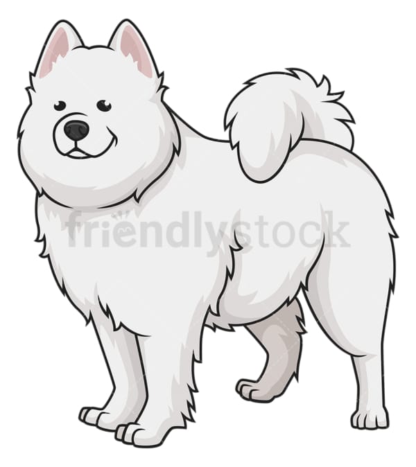 Gorgeous Samoyed Dog Cartoon Clipart Vector - FriendlyStock