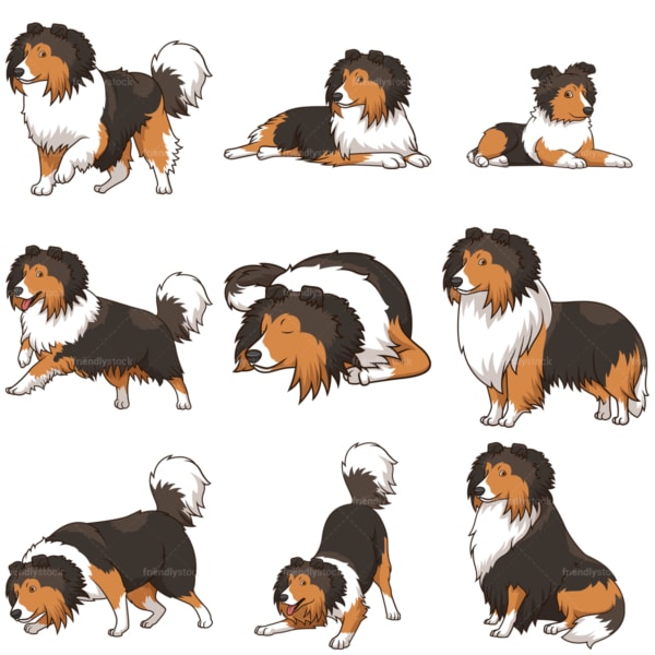 Shetland Sheepdog Dogs Cartoon Vector Clipart - FriendlyStock