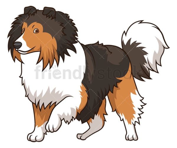 Sheltie Walking Cartoon Clipart Vector - FriendlyStock