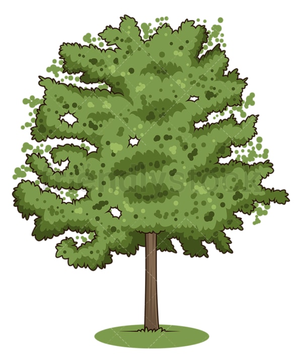 Honey Locust Tree Cartoon Clipart Vector - FriendlyStock