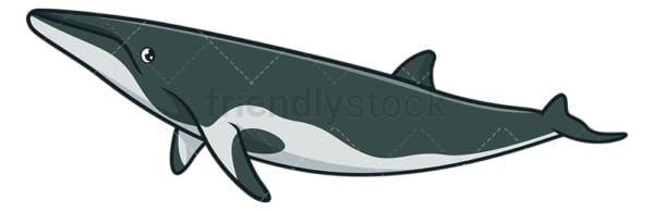 Minke Whale Cartoon Clipart Vector - FriendlyStock