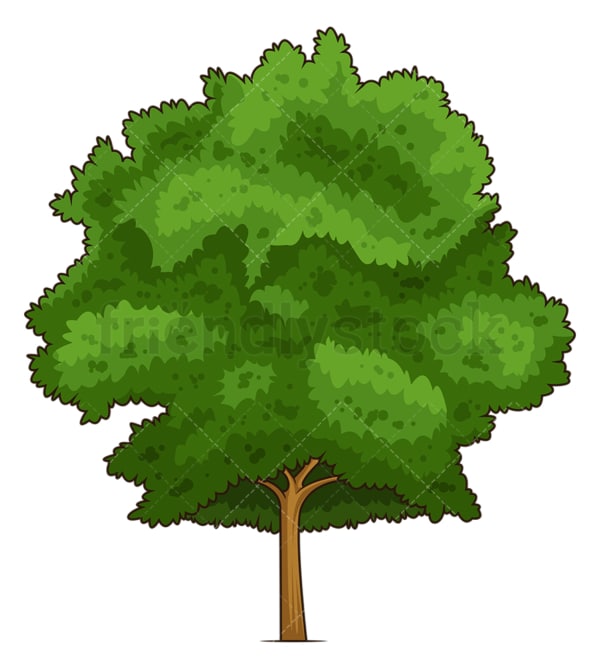 White Oak Tree Cartoon Clipart Vector - FriendlyStock