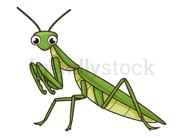 Cute Praying Mantis Cartoon Vector Clipart - FriendlyStock