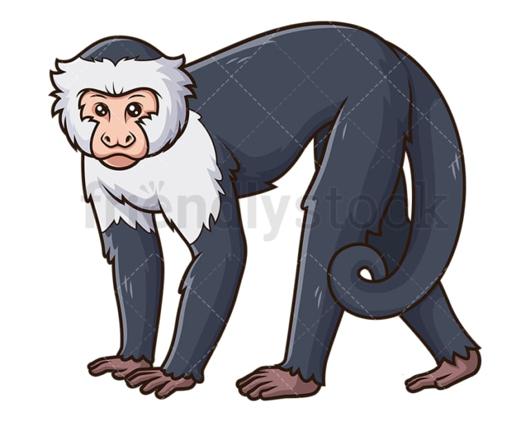 Cute Capuchin Monkey Cartoon Clipart Vector - FriendlyStock