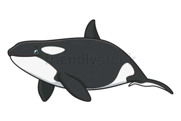 Killer Whale Cartoon Clipart Vector - FriendlyStock