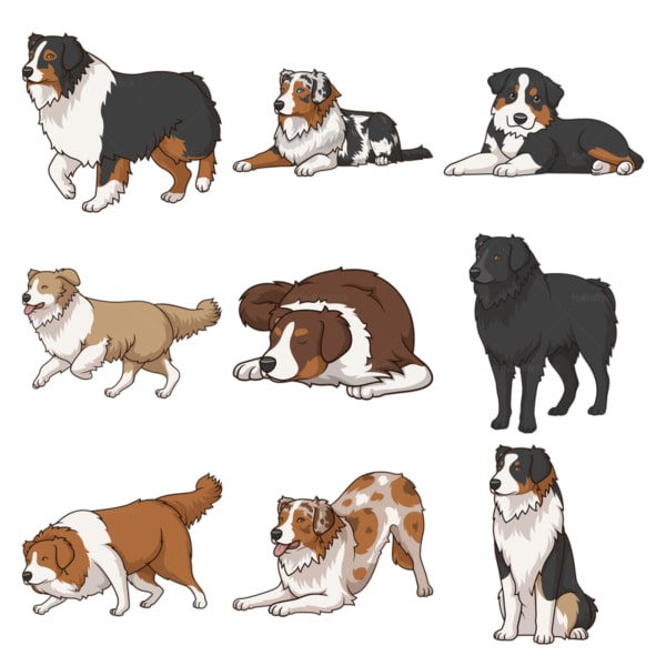 Australian Shepherd Dogs Clipart Vector Bundle - FriendlyStock