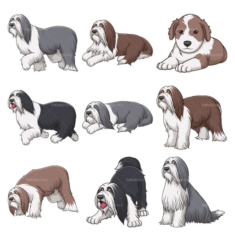 Playful Bearded Collie Cartoon Clipart Vector - FriendlyStock