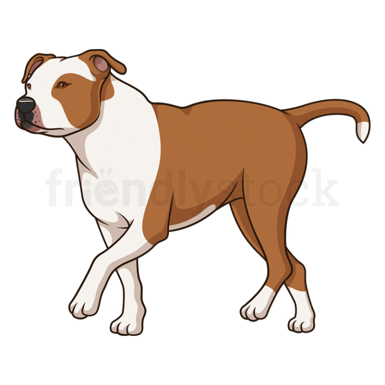 Cartoon American Staffordshire Dog Vector Clipart - FriendlyStock