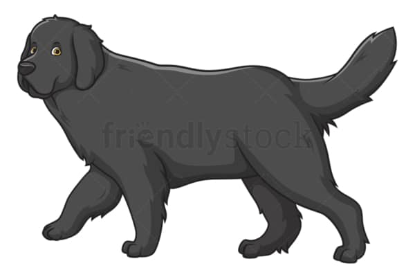 Cartoon Newfoundland Dog Vector Clipart - FriendlyStock