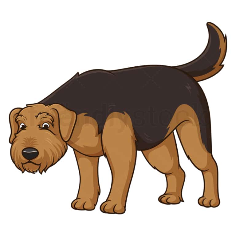 Airedale Terrier Sniffing Vector Illustration - FriendlyStock