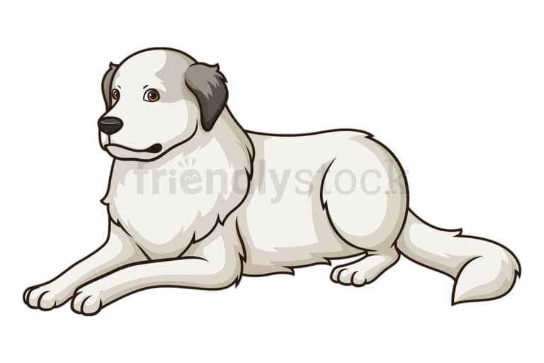 Great Pyrenees Lying Down Cartoon Clipart Vector - FriendlyStock