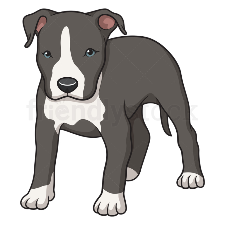 American Staffordshire Terrier Puppy Cartoon Clipart Vector - FriendlyStock