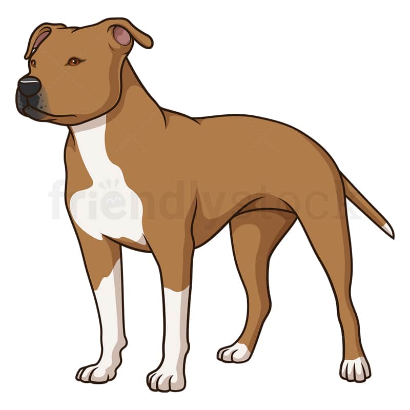 American Staffy Dog Cartoon Clipart Vector - FriendlyStock