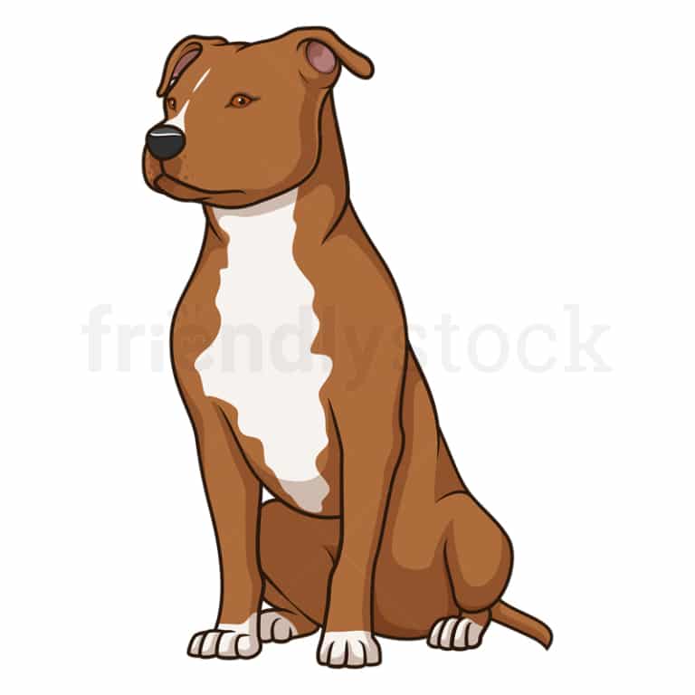 Obedient Amstaff Sitting Cartoon Clipart Vector - FriendlyStock