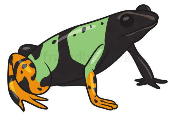 Cartoon Breviceps Clipart Vector Illustration - FriendlyStock