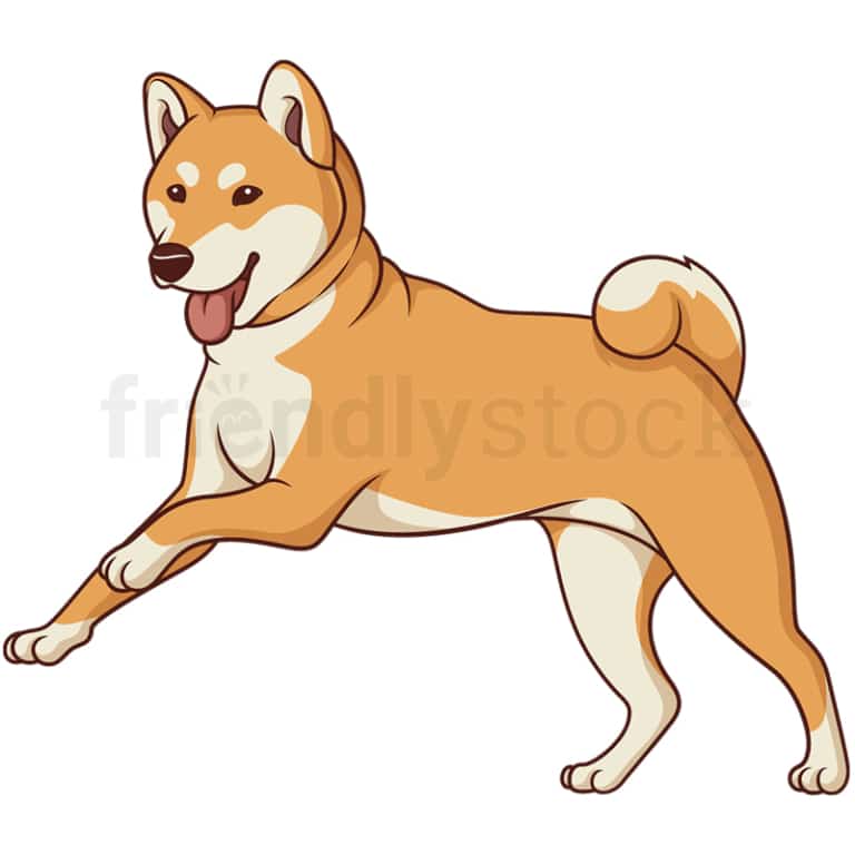Shiba Inu Running Cartoon Vector Clip Art Illustration - FriendlyStock