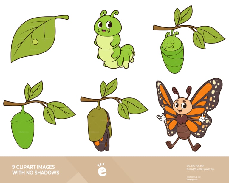 Caterpillar To Butterfly Metamorphosis Clipart Graphics Bundle ...
