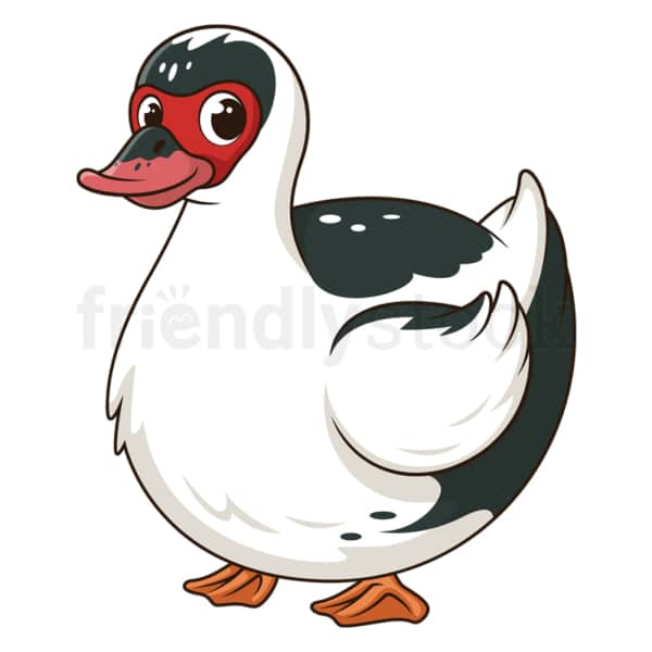 Cartoon Muscovy Duck Illustration Vector Clip Art - FriendlyStock