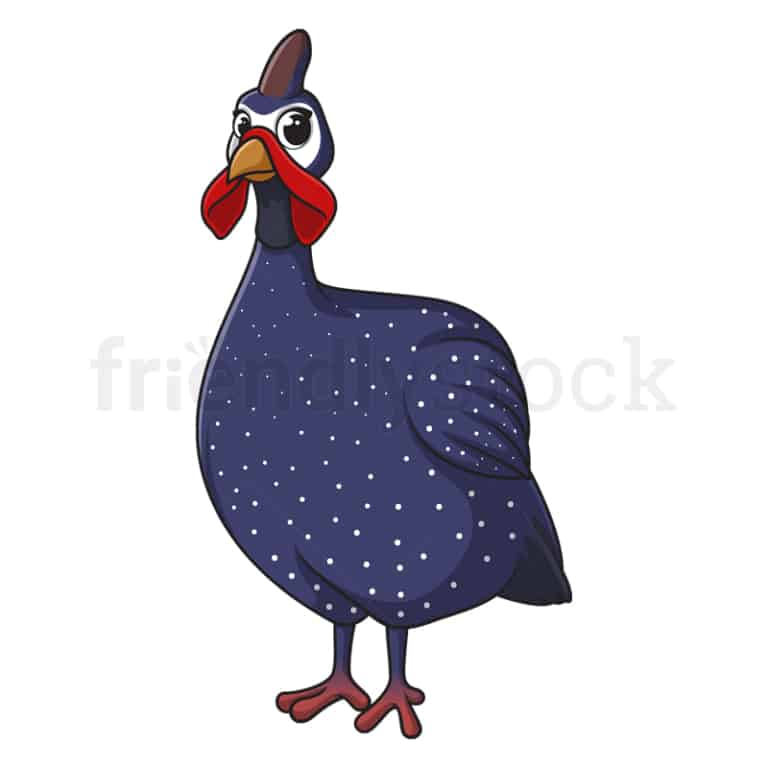 Cartoon Guinea Fowl Illustration Vector Clip Art - FriendlyStock