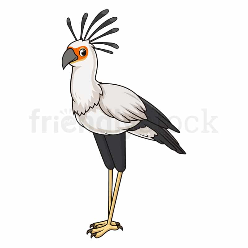 Cartoon Secretary Bird Cartoon Vector Clipart - FriendlyStock